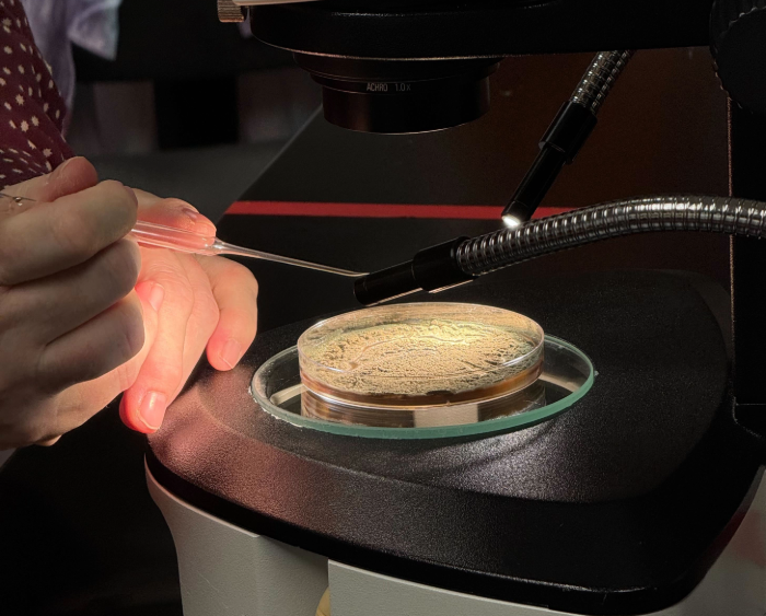 Professor Karen Kirk publishes paper with eight student co-authors ...